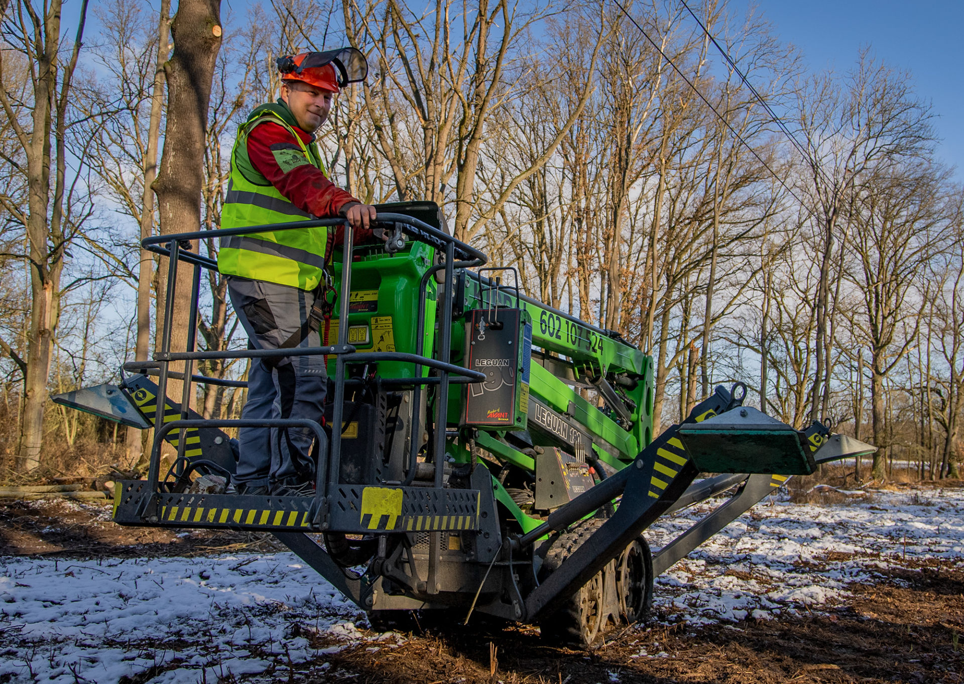 Tree care | Leguan Lifts